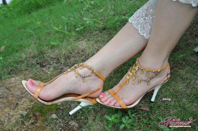 DSC 0296 | （福妹）主题相册